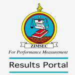 ZIMSEC - For Performance Measurement